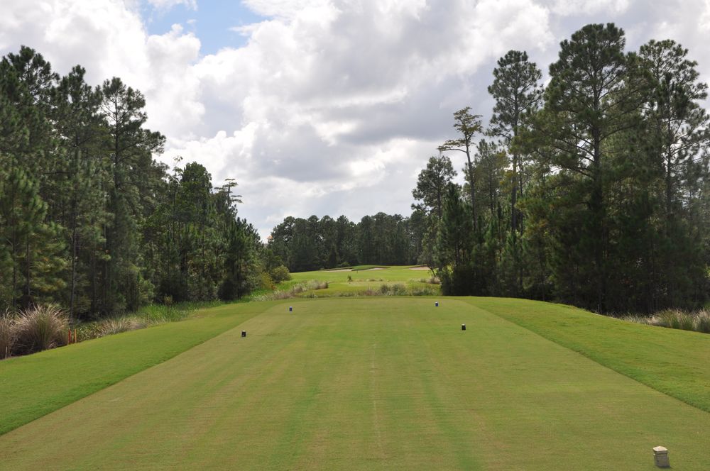 Course - The Golf Club at South Hampton
